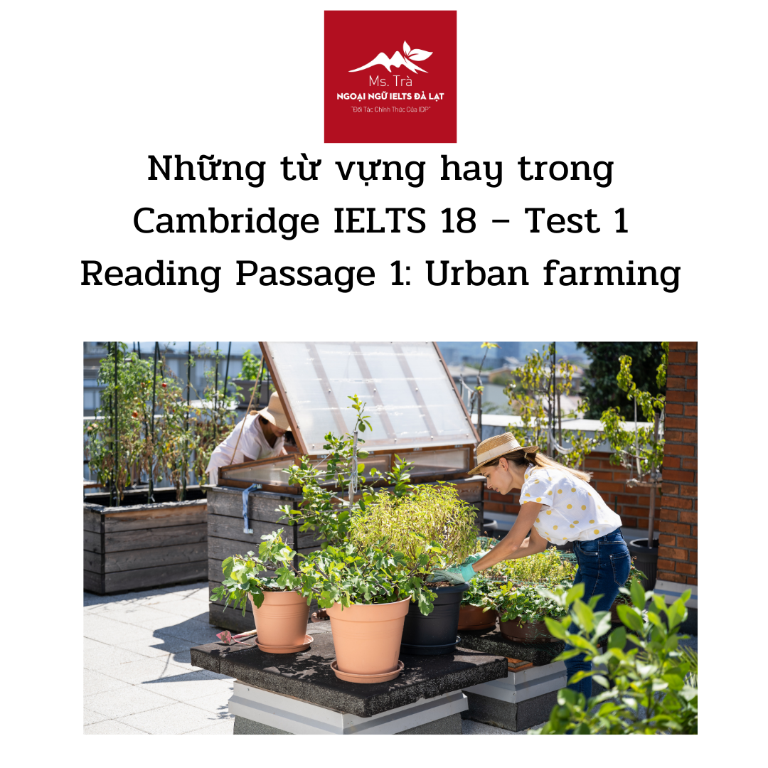 IELTS Đà Lạt - Ms.Trà